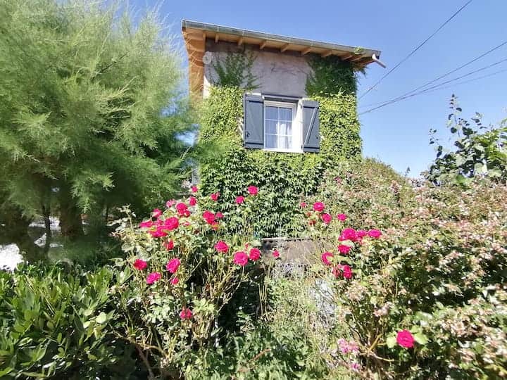 Charmante Loge De Vignes à Montbrison - Montbrison