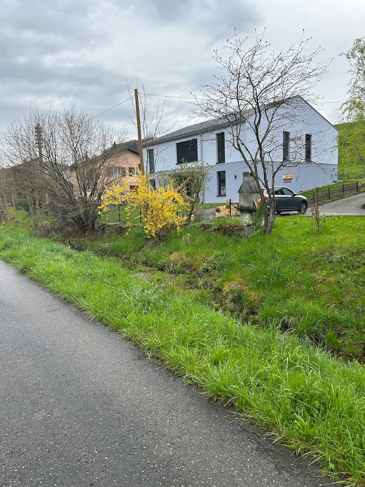 Beautiful House On The Landside - Bözen