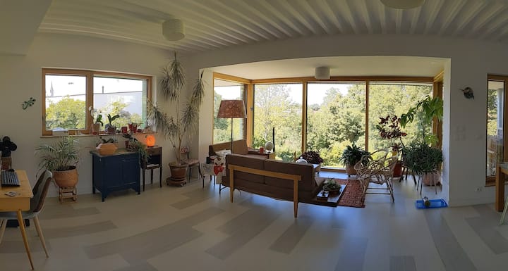 Colocation D'exception Avec Grand Jardin - Chartres