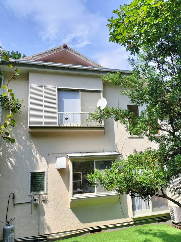 Rental Villa , Good Access, Many Rooms, Garden. - Izu