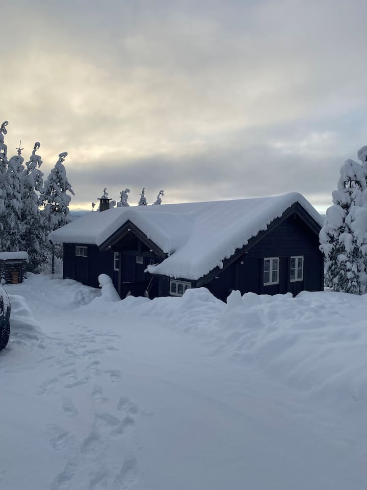 Koselig, Lys Hytte I Trysil! - Norway