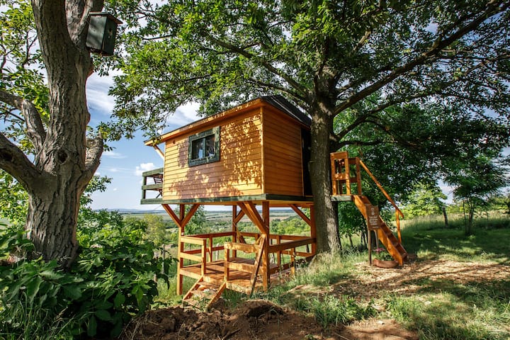 Dióliget-zöld Fészek Lombház - Velence