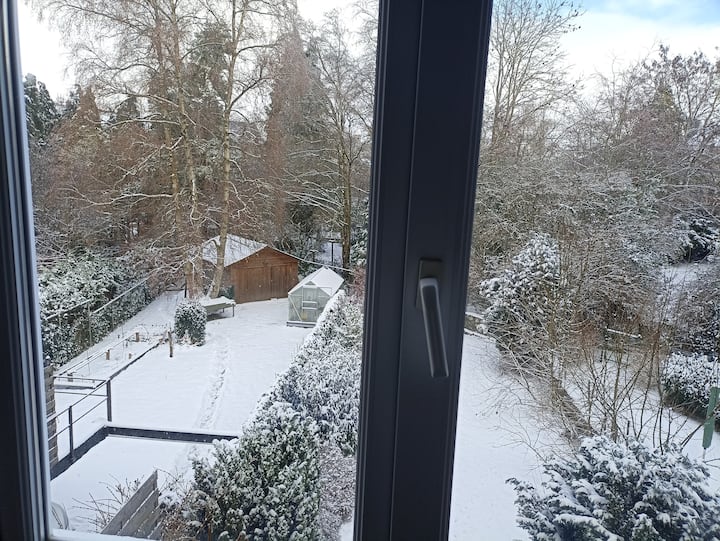 Chambre "Belle Au Bois Dormant" - Bastogne