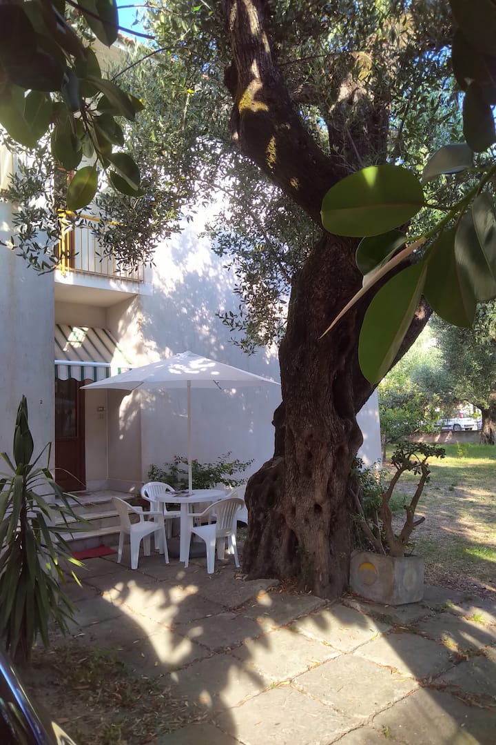 Casa Vacanze "Villa Degli Ulivi" - Pisciotta