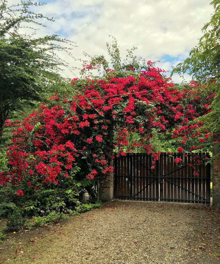 Dos Casas 10-12 Per. Piscina Privada - La Vega