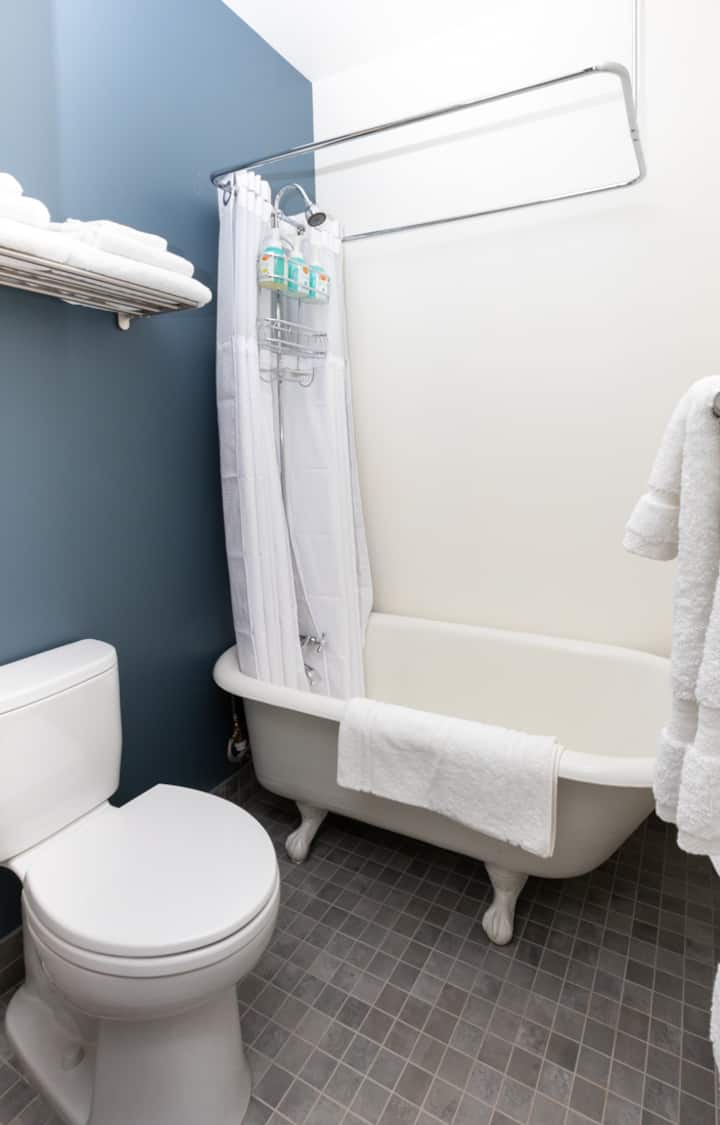 Highlands 8 Gem | Studio Apartment - Edmonton