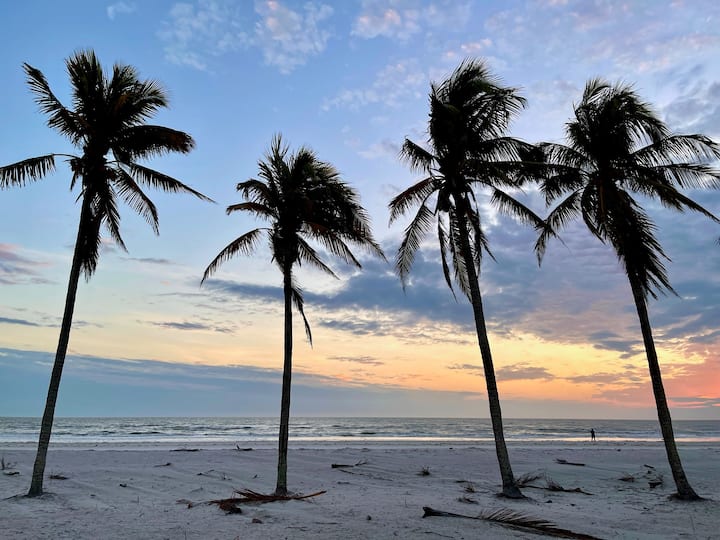 Eucalyptus 1/1 At Ft Myers Beach - Fort Myers Beach, FL