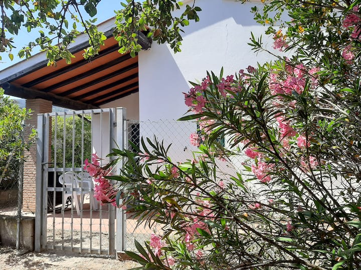 Casa Perla Iridella - Oleandro - Capoliveri