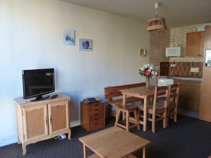 Studio Au Pied Des Pistes - Orcières Merlette