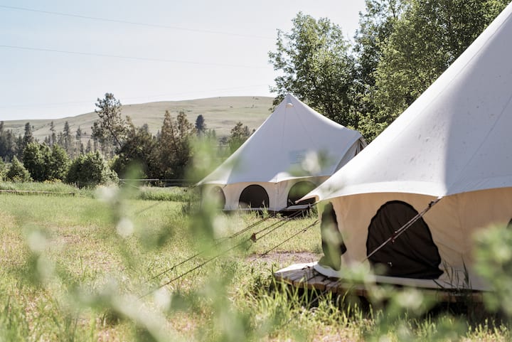 Reflection Creek Ranch-regatta - Princeton