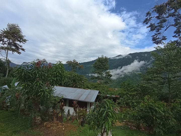 Fundo La Bonita Palmapampa (San Ramón-chanchamayo) - La Merced