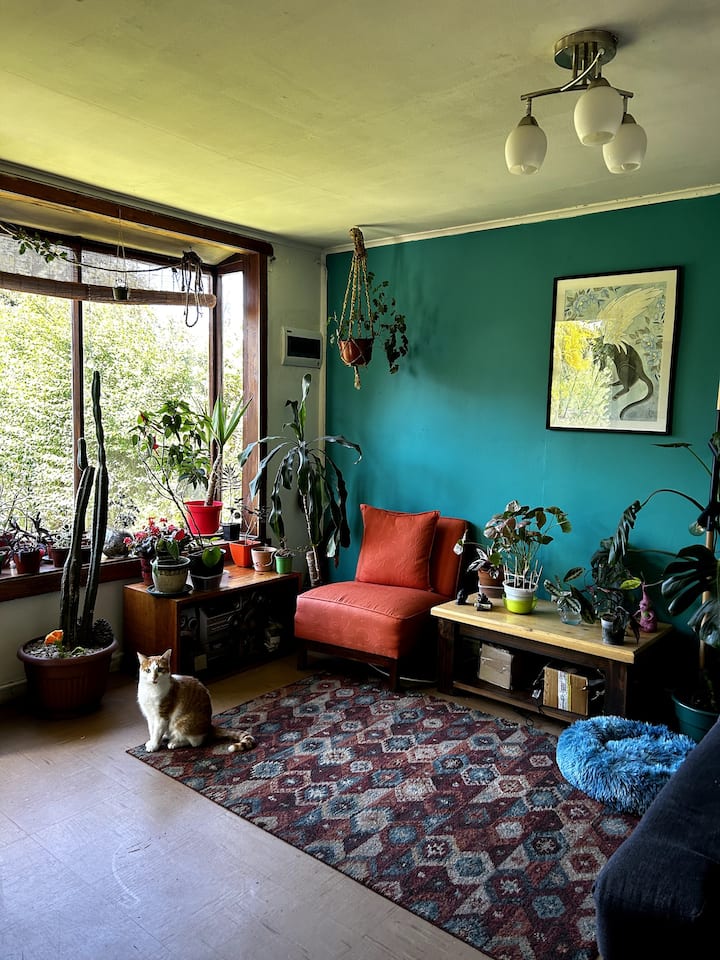 Casa De Los Gatos Y Las Plantas - Puerto Varas