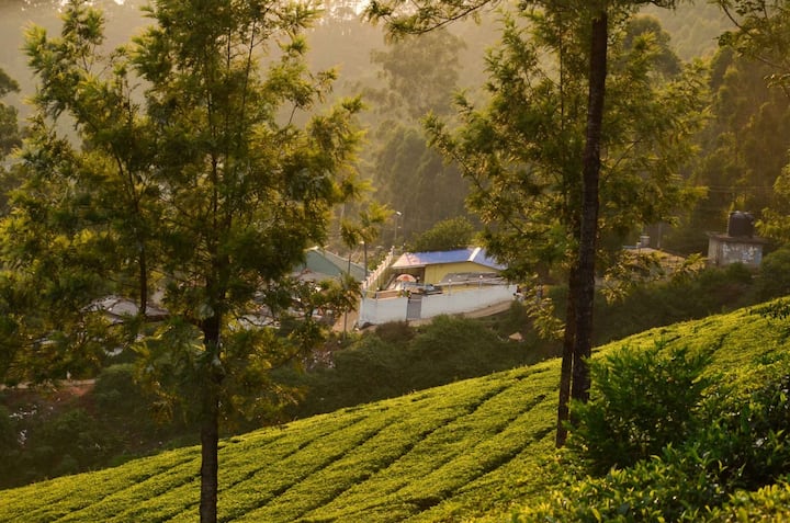 Munnar Valley View - Munnar