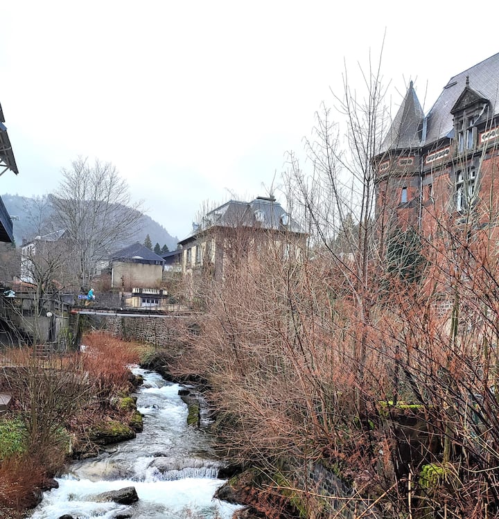 Appartement Au Centre Du Mont Dore - Murol