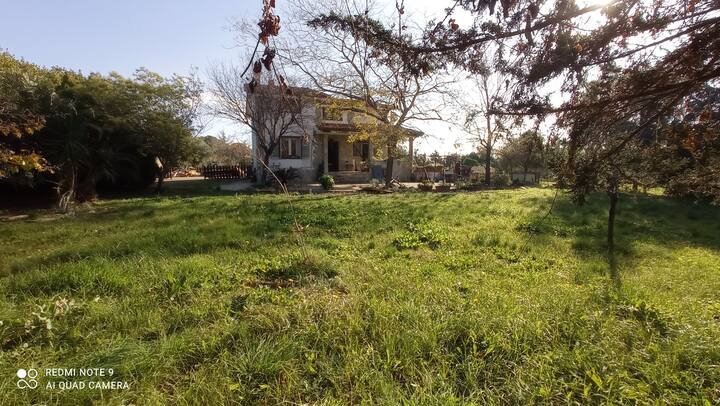 Villa In Campagna E Vicino Mare - Ladispoli