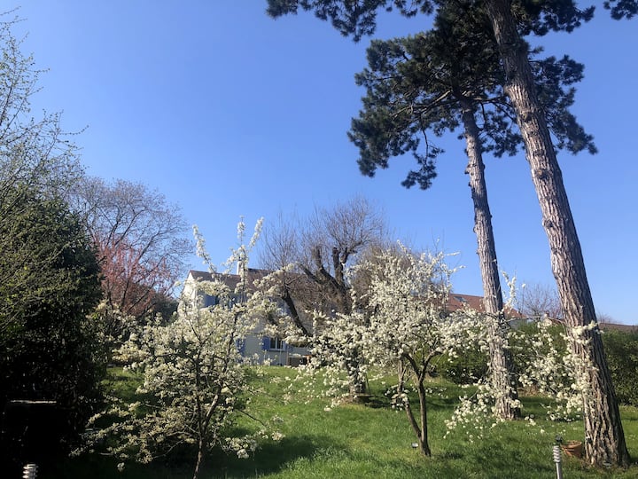 Wonderful House With Pool Near Paris 2024 Olympics - Yvelines
