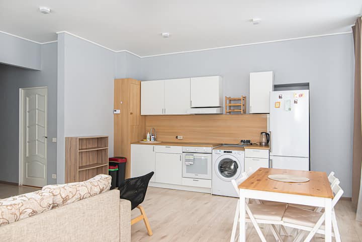 Spacious Apartment With Great Location/urban Rent - Vilnius