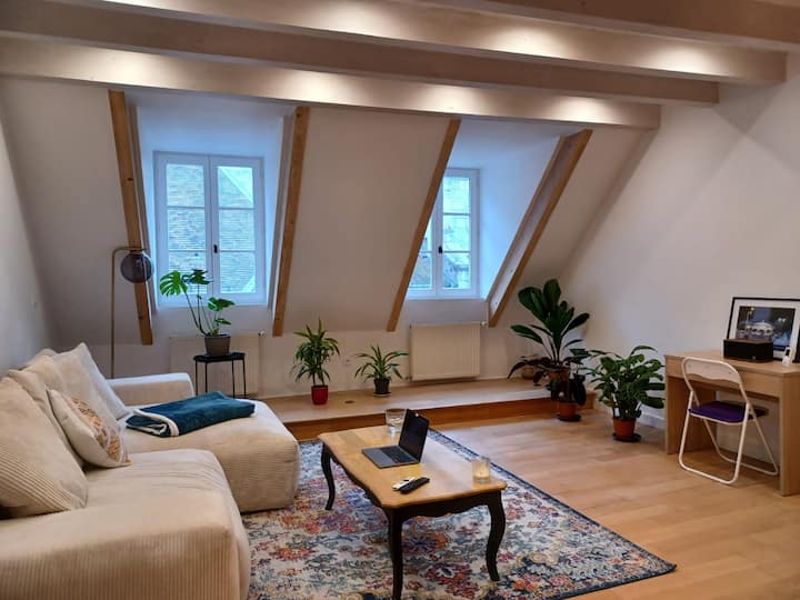 Appartement Cosy - Centre Ville - Besançon
