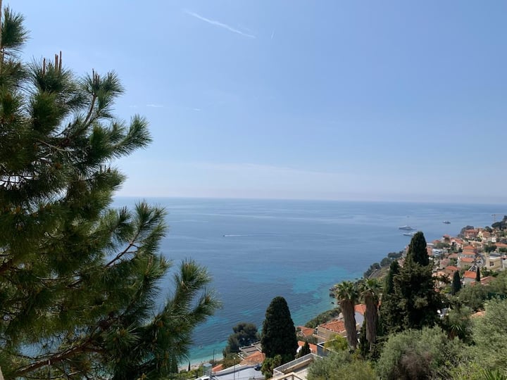Duplex Vue Mer Et Cap Martin - Roquebrune-Cap-Martin
