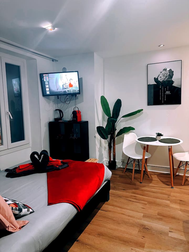 Studio 1 - Clim - Centre Cannes - Palais Festival - Cannes