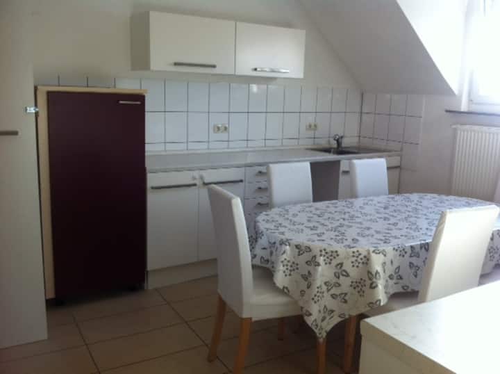 Geräumige Wohnung Für 6 Personen - Ludwigshafen