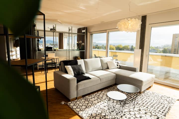 Loft Penthouse Apartment - Bern