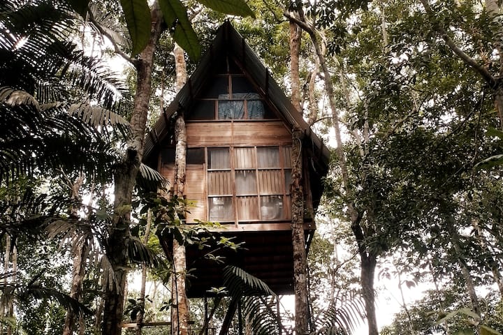Cabaña En áRbol Amazonas - Amazonas, Colombia