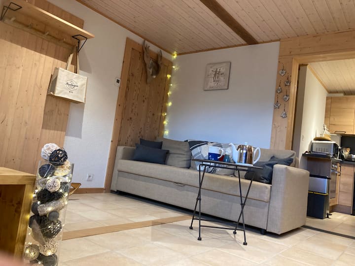 Appartement 4* Cozy Dans Chalet - Évian-les-Bains