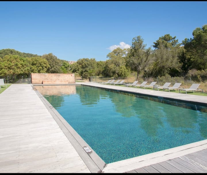 Appartement Bord De Mer Santa-giulia - Santa Giulia