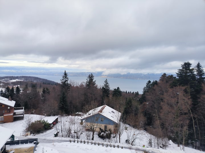 Appartement Traversant Thollon - Thollon-les-Mémises