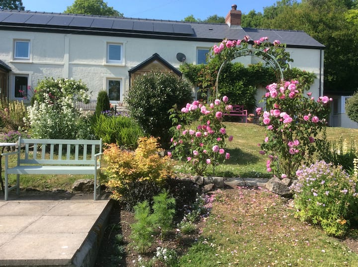Country Cottage Guest Suite - Freshwater East