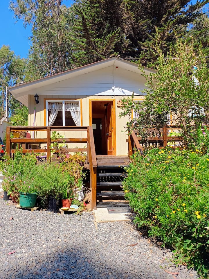 Hermosa Cabaña En El Tabo Mínimo 2 Noches - El Tabo
