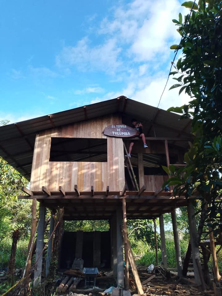 Noches De Encanto - Puyo