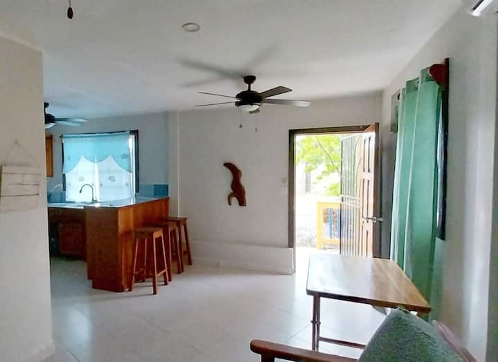 Casa Palma 2br Premium Apt. #2 - Placencia