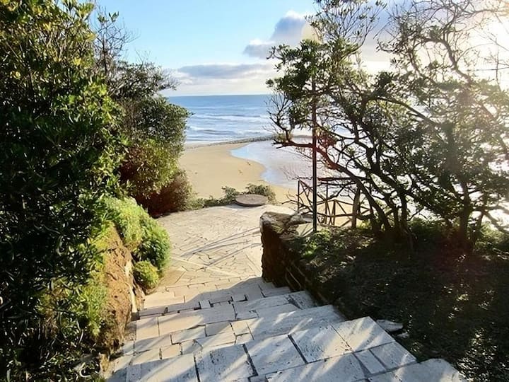 Wyndcliffe - Anzio
