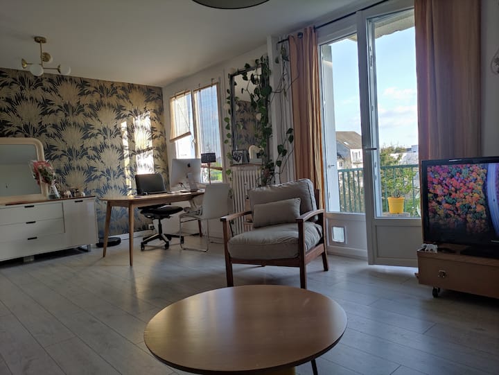 Appartement Lumineux Et Bien Placé - Rennes