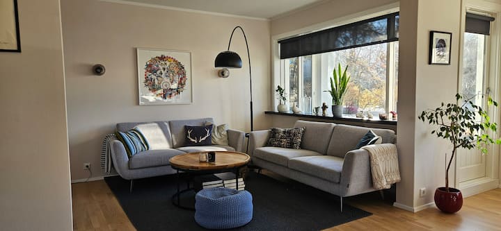 Family Home For Cat Lovers - Reykjavik