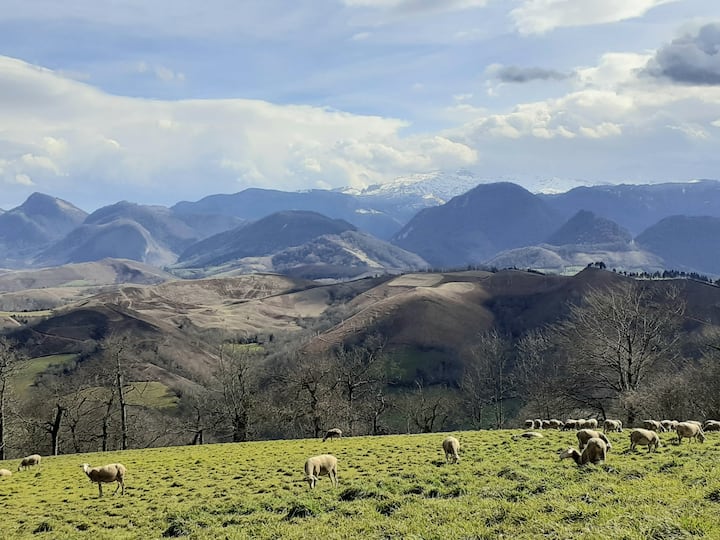 Place De Camping à La Ferme - Mauléon-Licharre