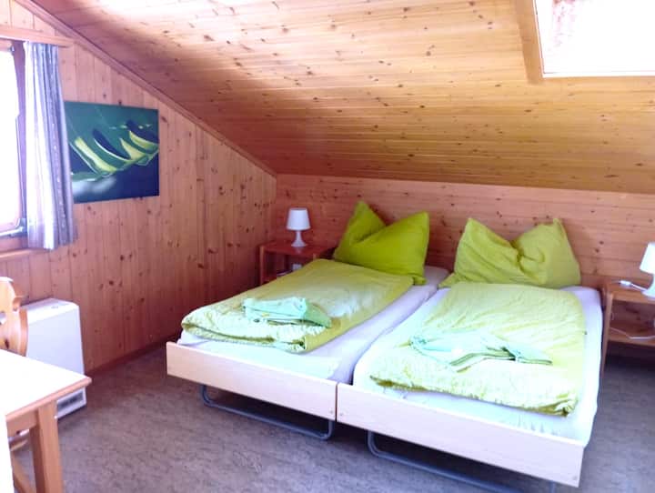 Chambre Dans Un Grand Châlet - Zweisimmen
