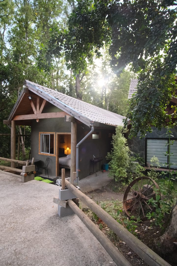 Cabañita Tiny House En El Bosque - Pucon