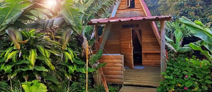 Banana Eco Camp -Big Cabin -Surf - Angra do Heroísmo