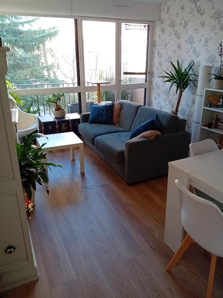 Charmant T3 Proche Rer C Et D - Draveil