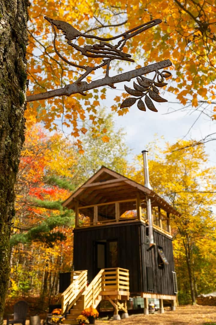 Camp Ervay Offgrid Cabin - Finger Lakes, NY
