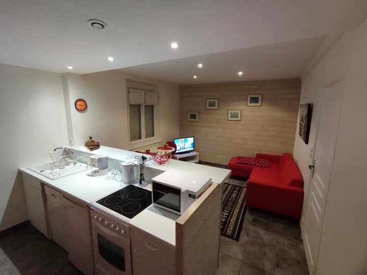 Très Bel Appartement Au Centre Du Mont Dore - Mont-Dore