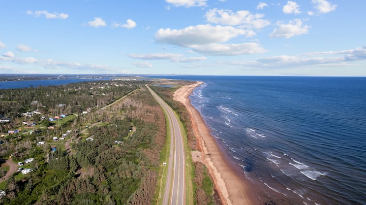 Beach Trees - Ocean Breeze - Stanhope, PE, Canada
