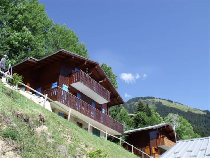 Le Ciel Bleu A Spacious Charming Chalet - Châtel