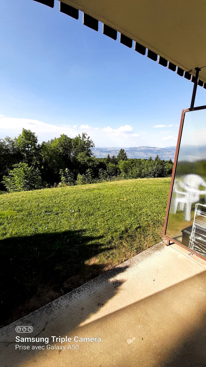 Studio Vue Sur Le Lac Léman - Thollon-les-Mémises