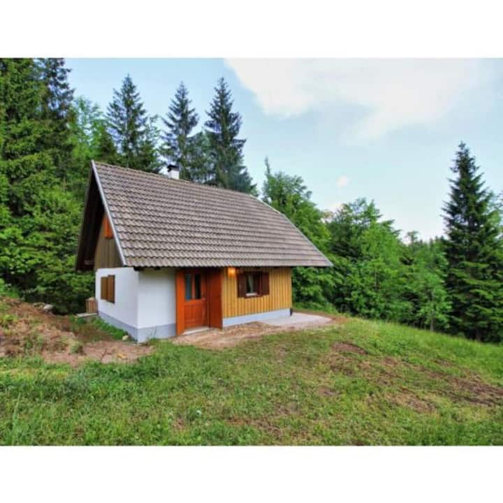 Počitniška Hiška Jeklar - Bled