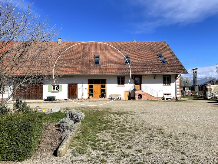 Hof In Natur Und Mit Tieren - Offenburg