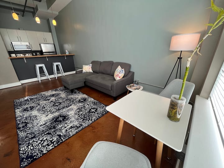 Downtown 1st Floor Apt: Walk To Breweries, Food - Roanoke, VA